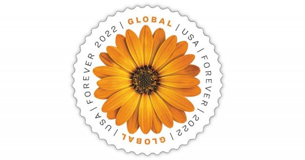 New U.S. global forever stamp features African daisy