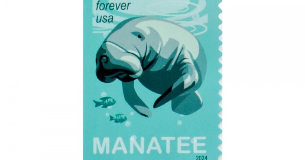 2024 US New Save Manatees First Class Forever Postage Stamp