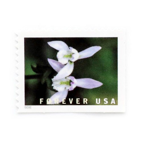 Wedding & Flowers Stamps